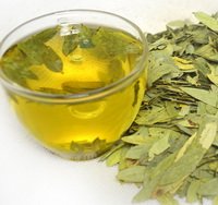 64 oz Nature Senna Leaf infusion