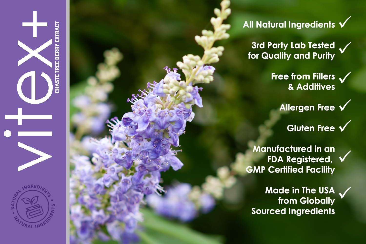 650 mg Vitex Chasteberry benefits