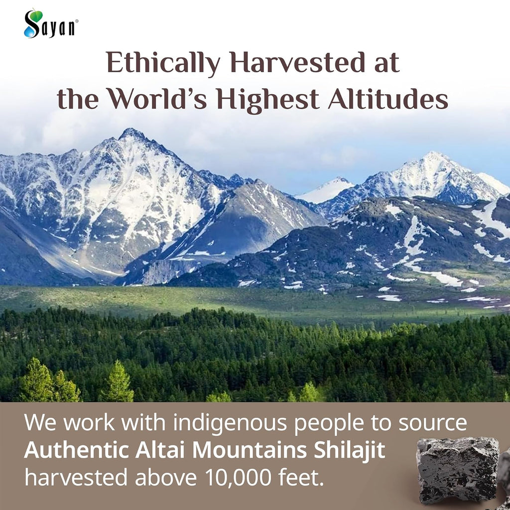 660 servings of shilajit resin
