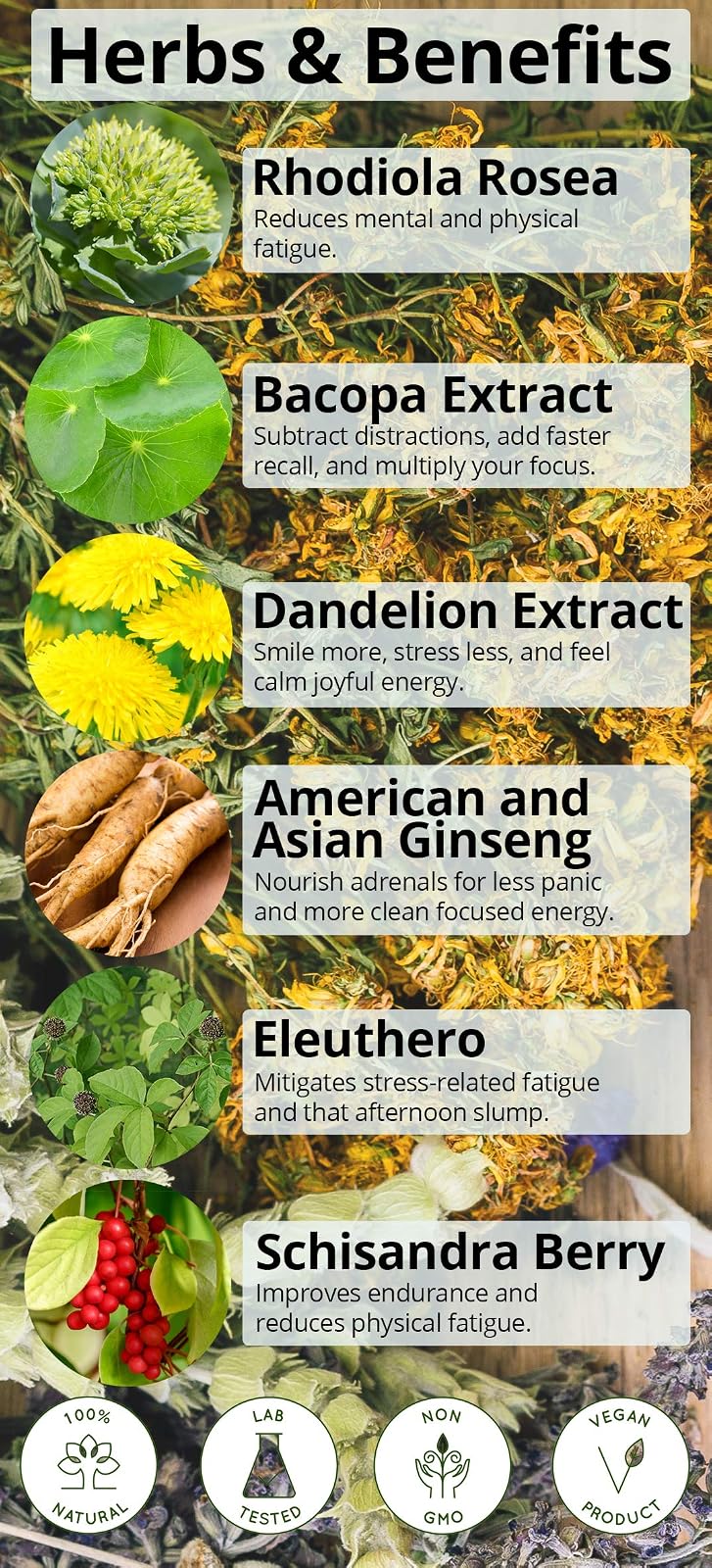 7 Herb Complex multivitamin for men