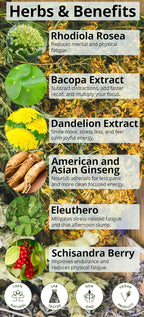 7 Herb Complex multivitamin for men