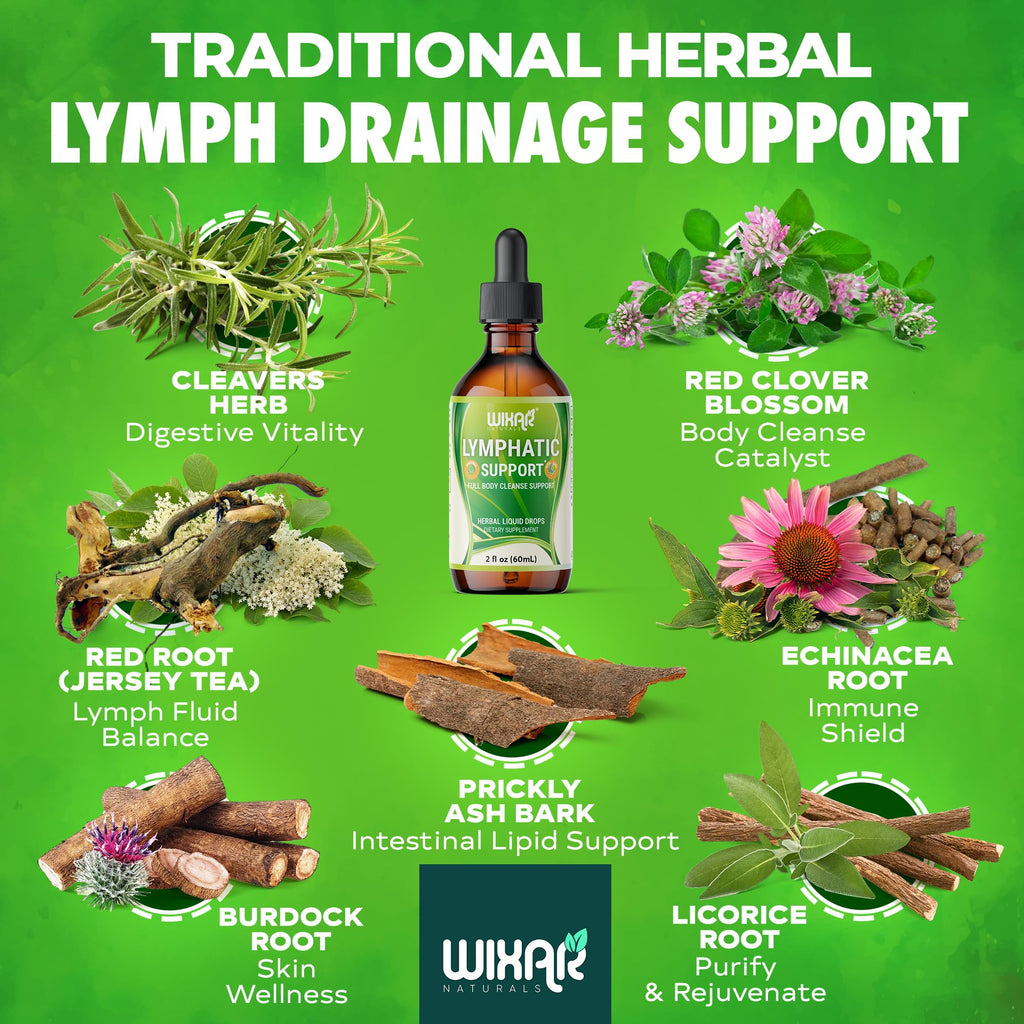 7-in-1 echinacea herbal support