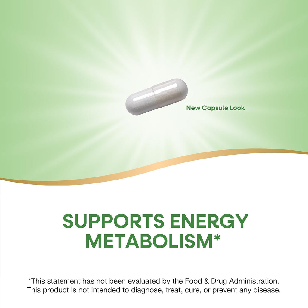 7-Keto DHEA for weight management