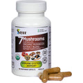 7 mushroom extract health benefits