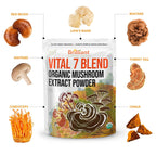 7 mushroom powder for immune support