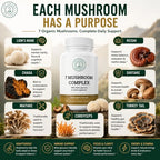 7 mushroom supplement for immunity