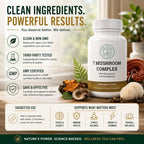 7 mushroom supplement for overall wellness