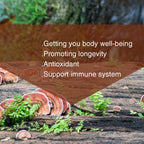 7 oz reishi mushroom powder for smoothies