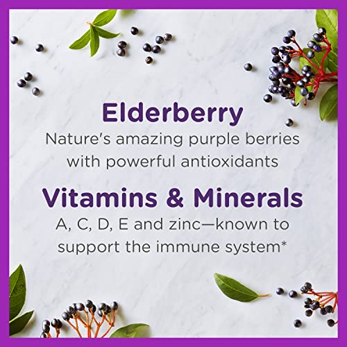 70 count elderberry gummy supplement