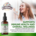 700 mg astragalus herbal supplement