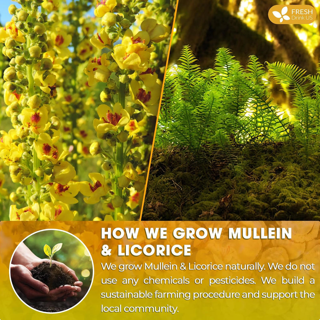 75 bags of Mullein Licorice tea