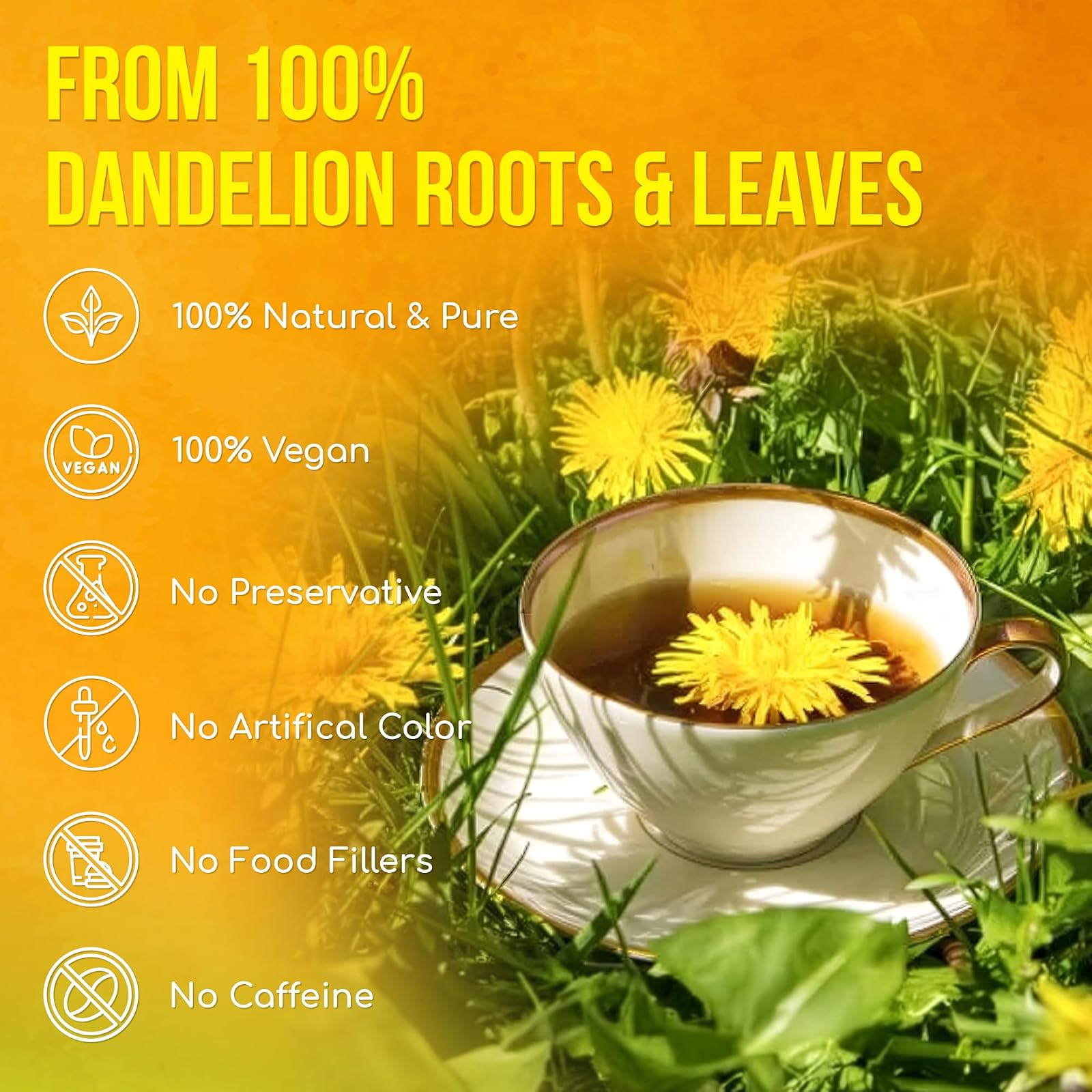 75 tea bags of dandelion tea