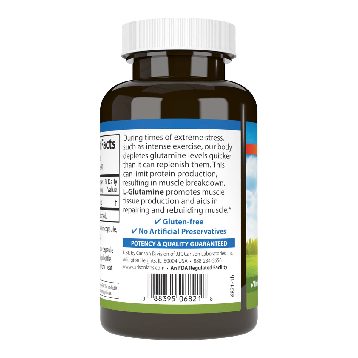 750 mg L-Glutamine capsules for endurance