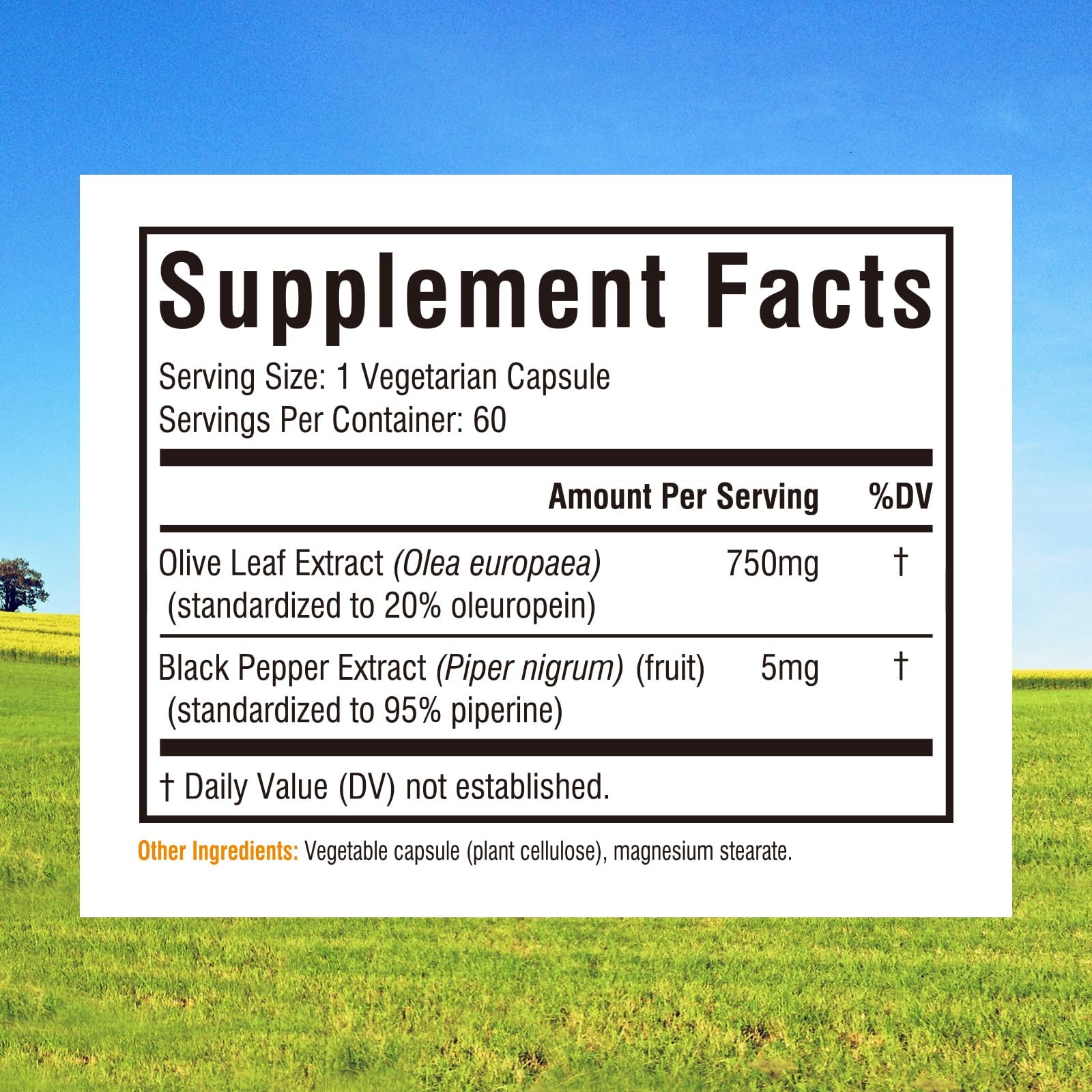 750 mg olive leaf capsules for wellness