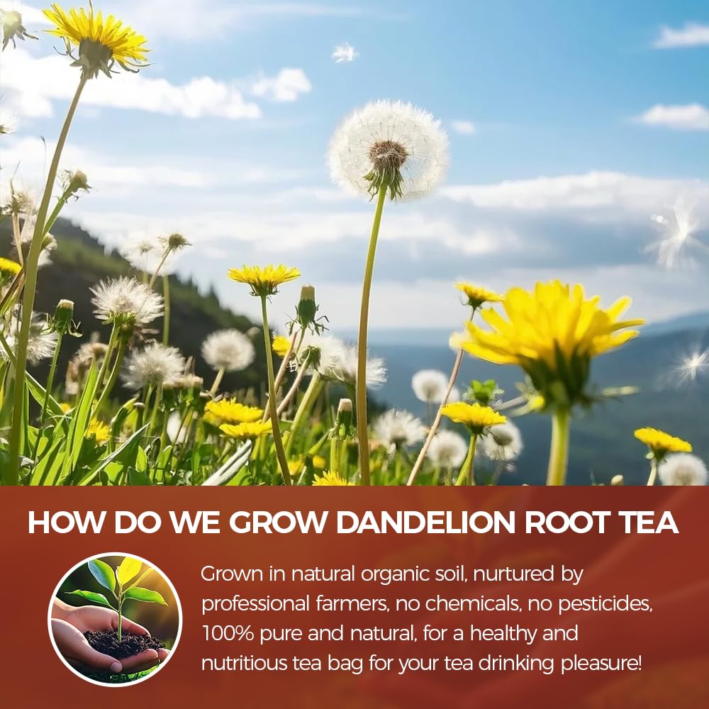 8.8 oz dandelion root infusion