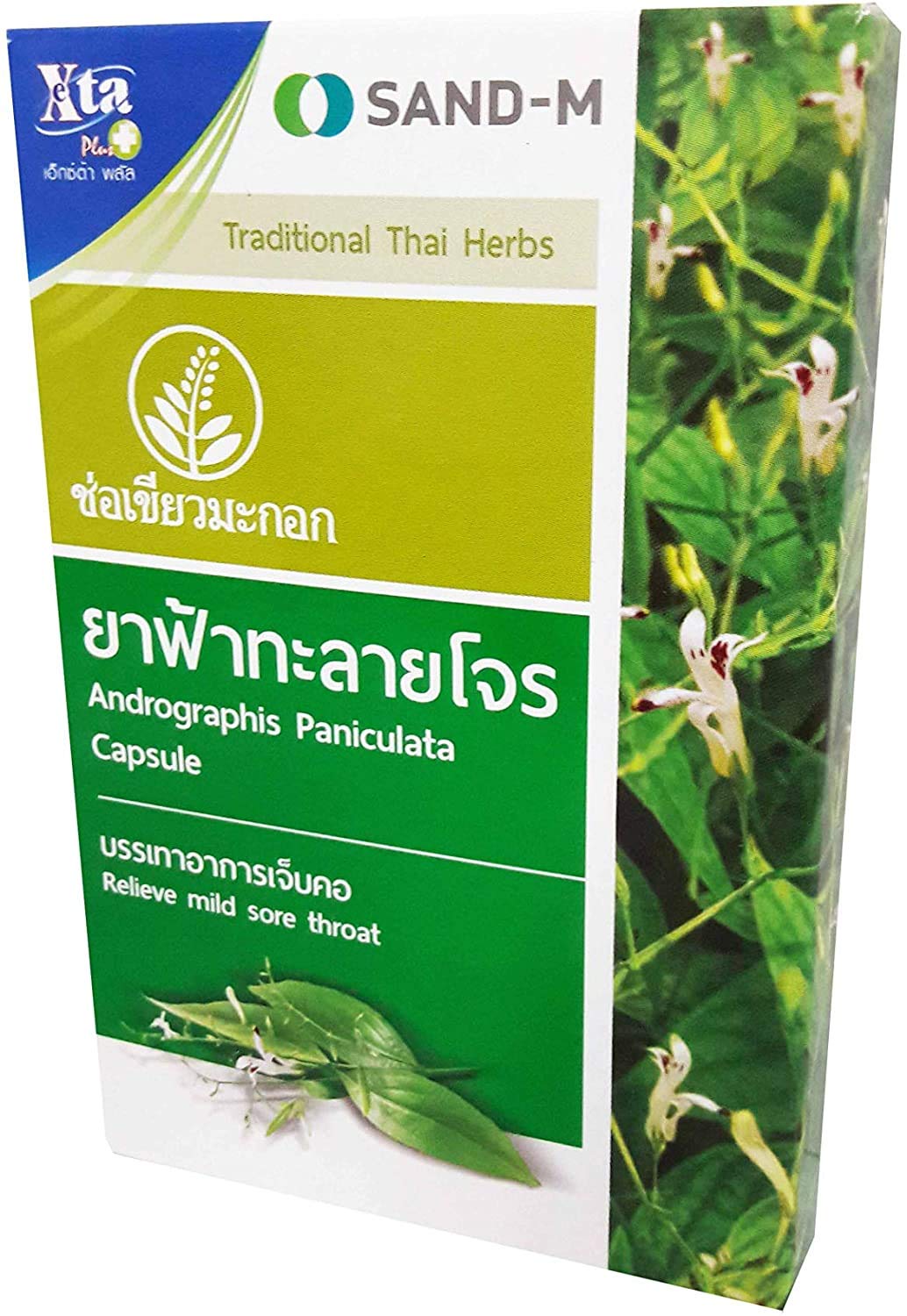 8 capsules of andrographis paniculata per box