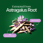 8 month supply of astragalus root