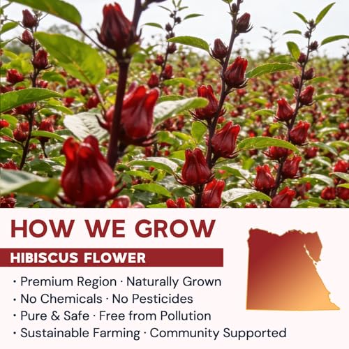 8 oz dried hibiscus for refreshing drinks