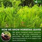 8 oz herbal tea ingredient