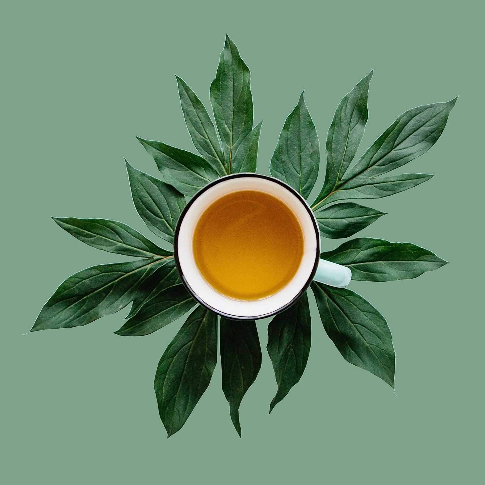 8 oz loose leaf green tea