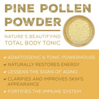 8 oz Pine Pollen Powder supplement
