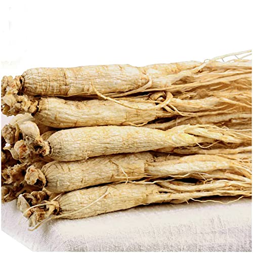 8 years aged ginseng roots