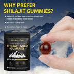 80 count Shilajit gummy benefits