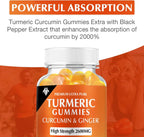 80 count turmeric curcumin supplement