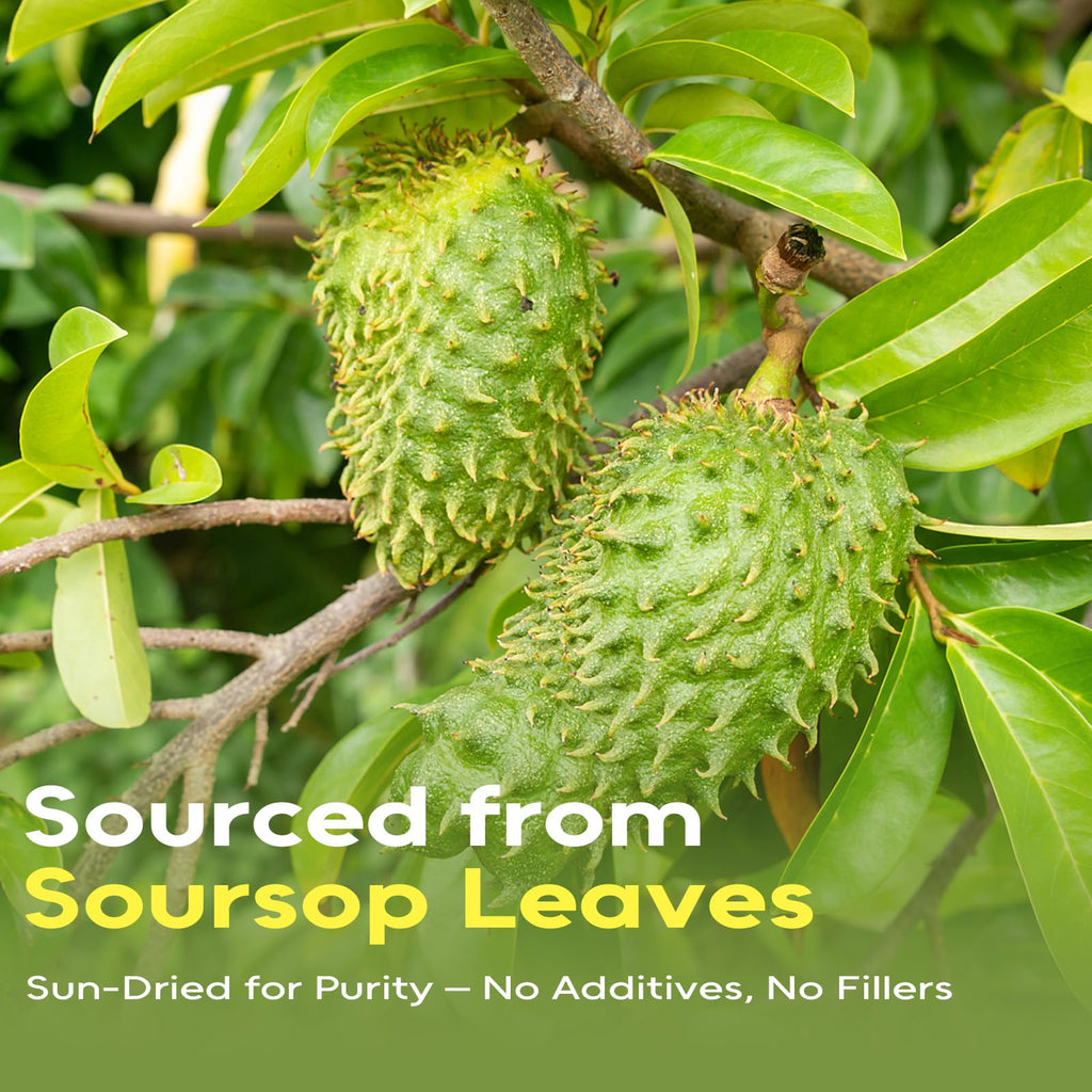 80 counts of soursop tea bags