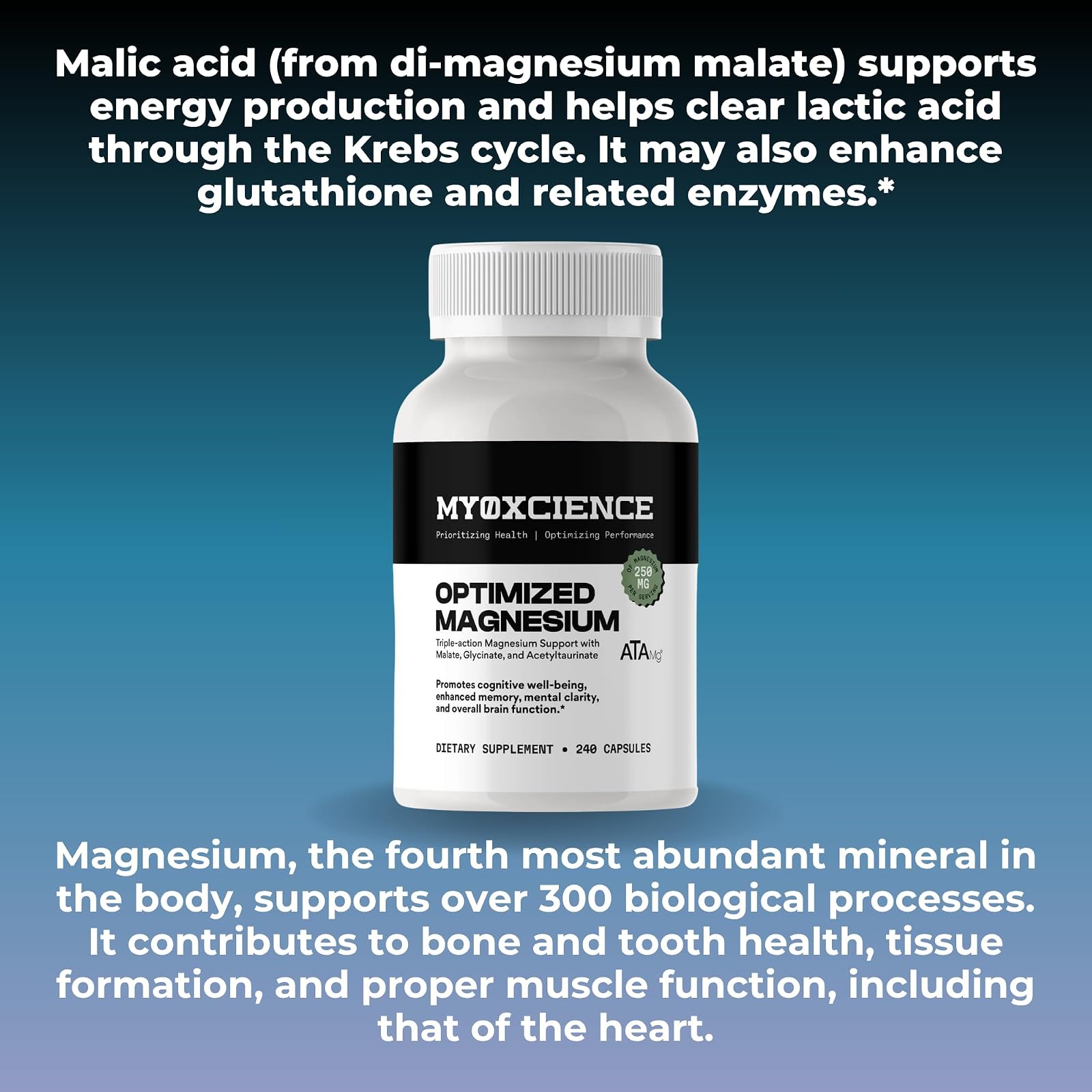 80 servings of magnesium support