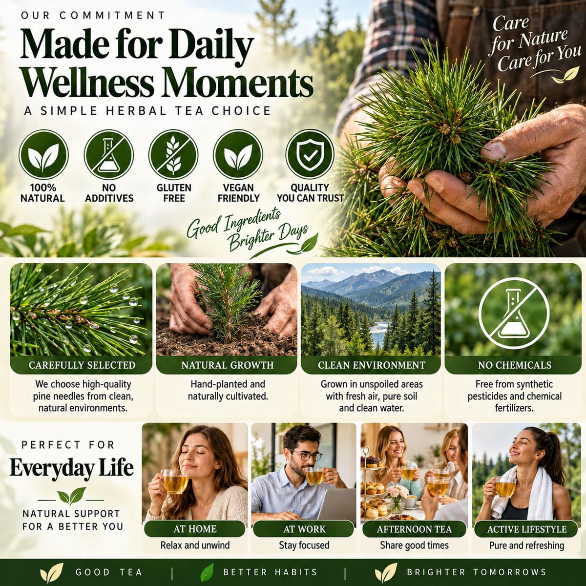 80 tea bags for daily use