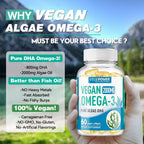 800 mg DHA softgels for brain support