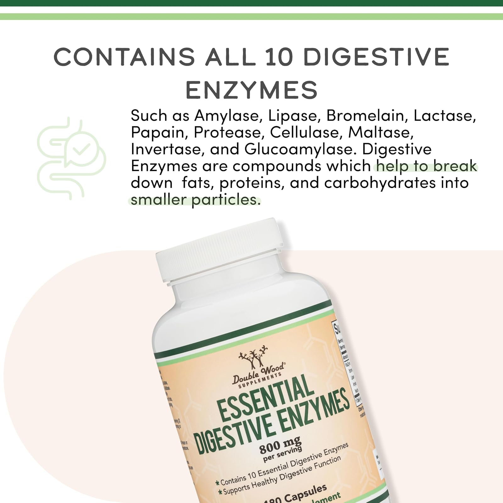 800 mg digestive enzymes capsules