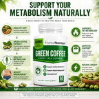 800 mg green coffee bean extract