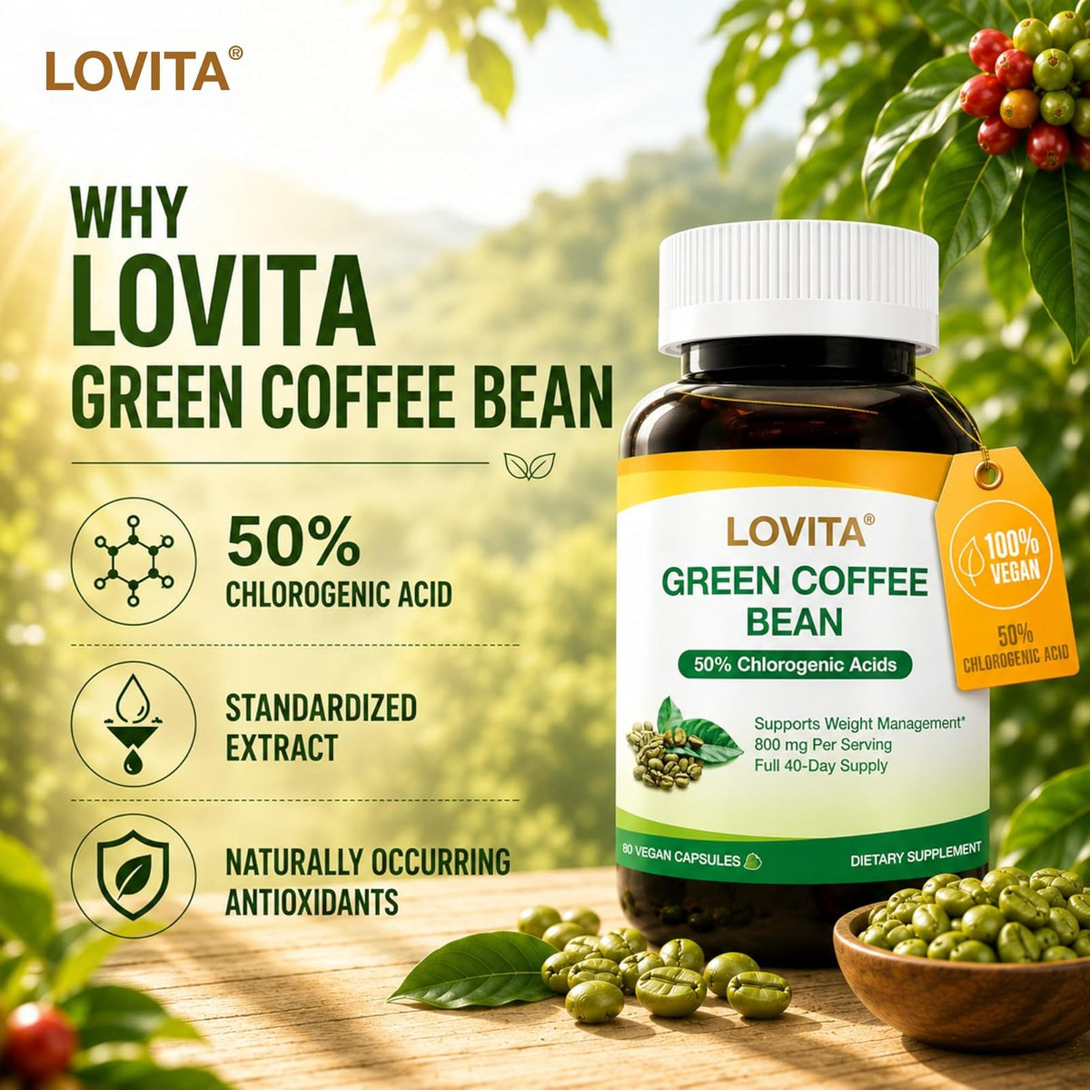 800 mg green coffee extract