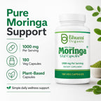 800 mg Moringa capsules for energy