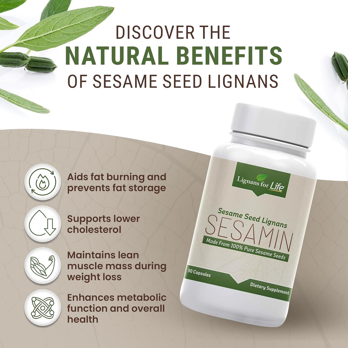81 mg sesame extract for vitality