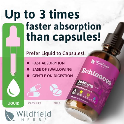 84 servings of echinacea extract