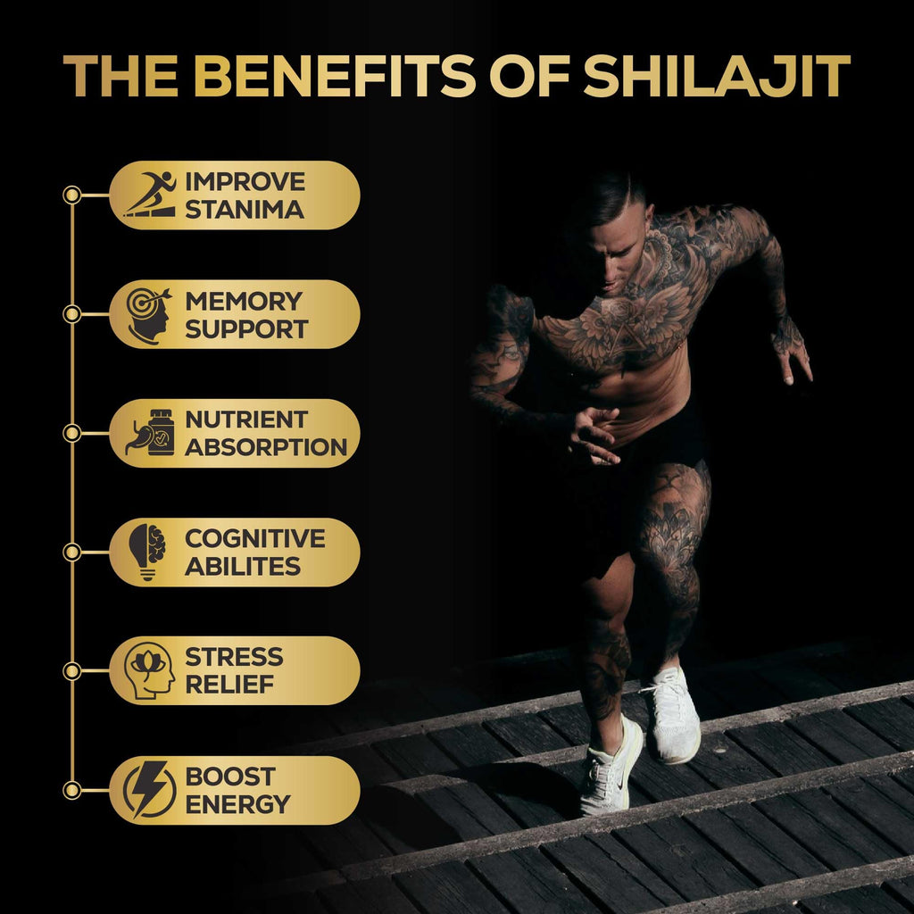 85+ trace minerals in shilajit
