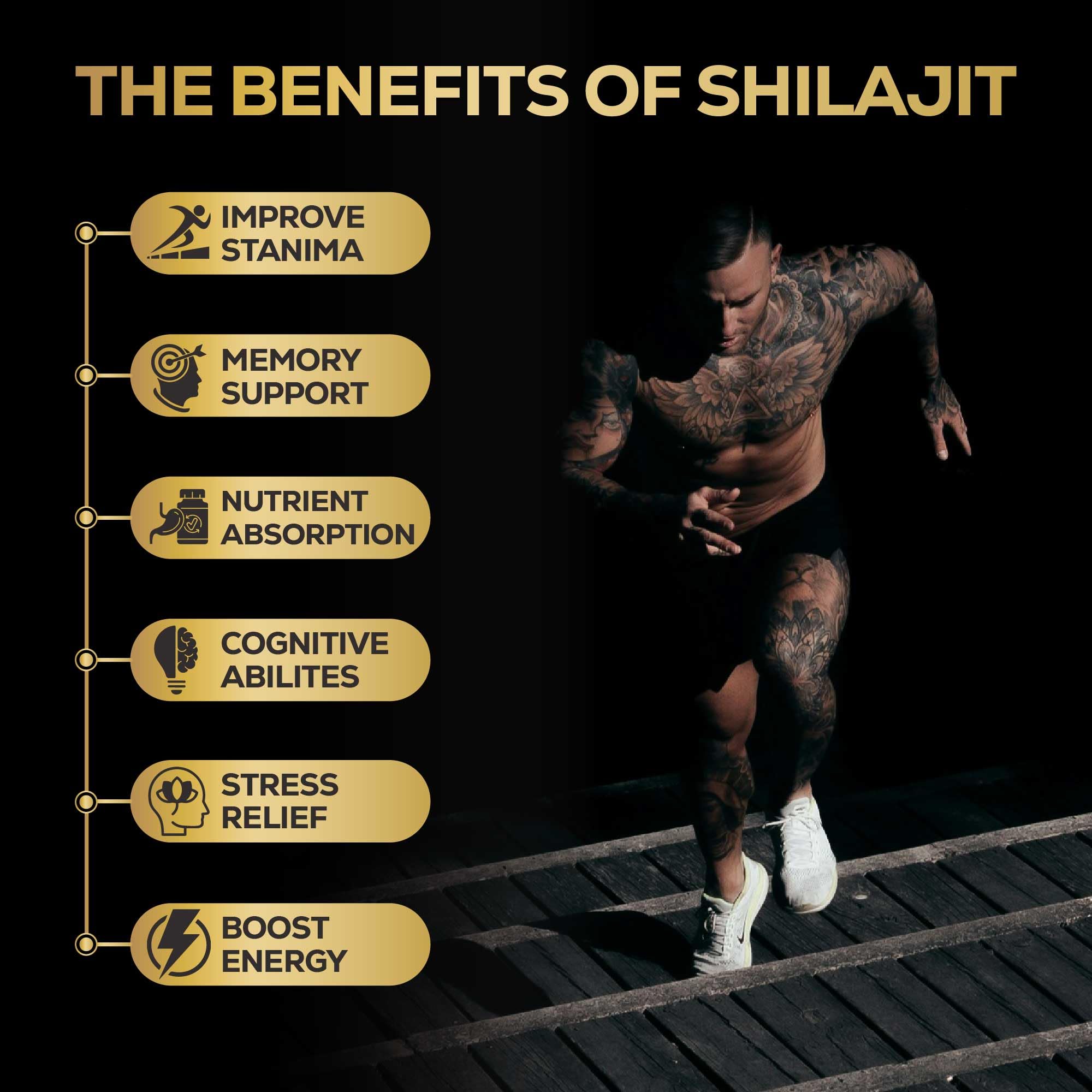 85+ trace minerals in shilajit