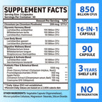 850 billion CFU digestive support