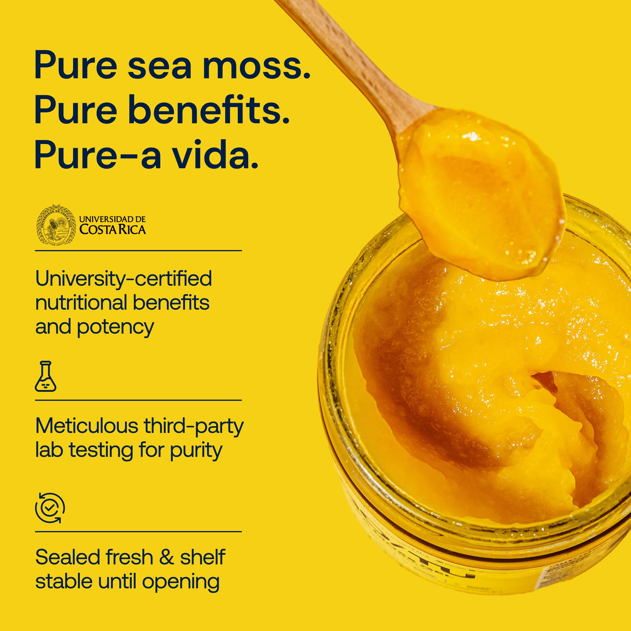 8oz sea moss gel container