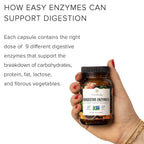 9 enzyme blend for digestive support