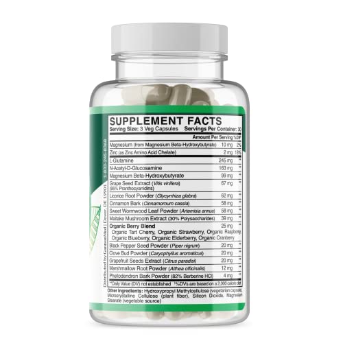 90 caps gut health support supplement