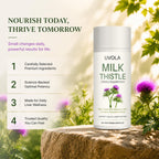 90 capsules for daily wellness