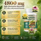 90 capsules for daily wellness