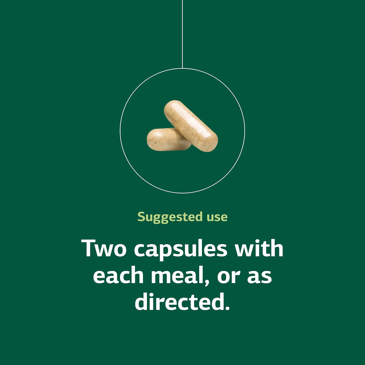 90 capsules for digestive wellness