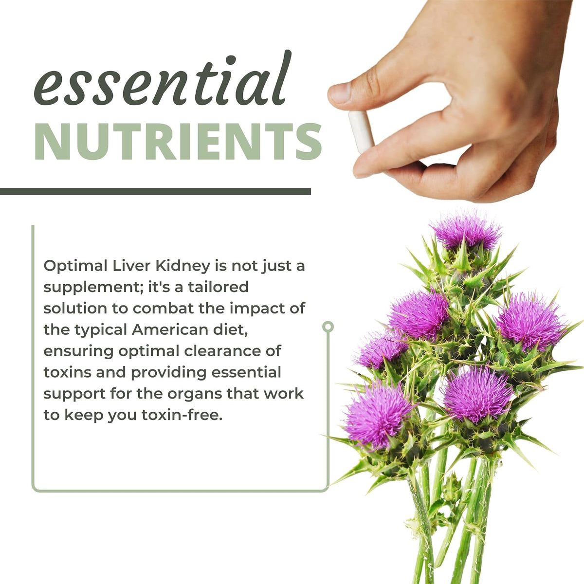90 capsules for liver wellness
