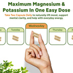 90 capsules for long-lasting supply
