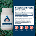 90 capsules of Ayush Mumiyo benefits